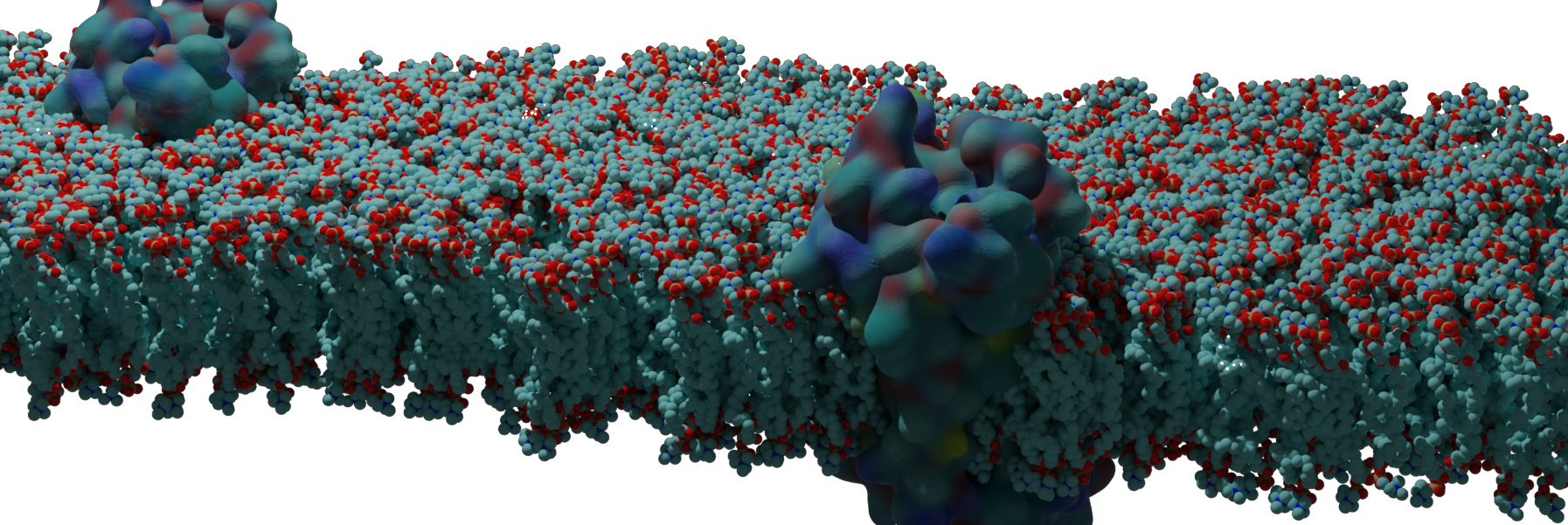 µ-opioid receptor literature review compilation µ-opioid receptor literature review compilation